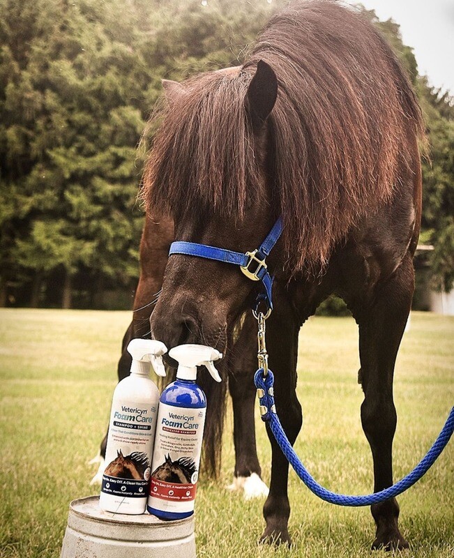 Laat ringworm de mooie vacht van je paard niet bezoedelen