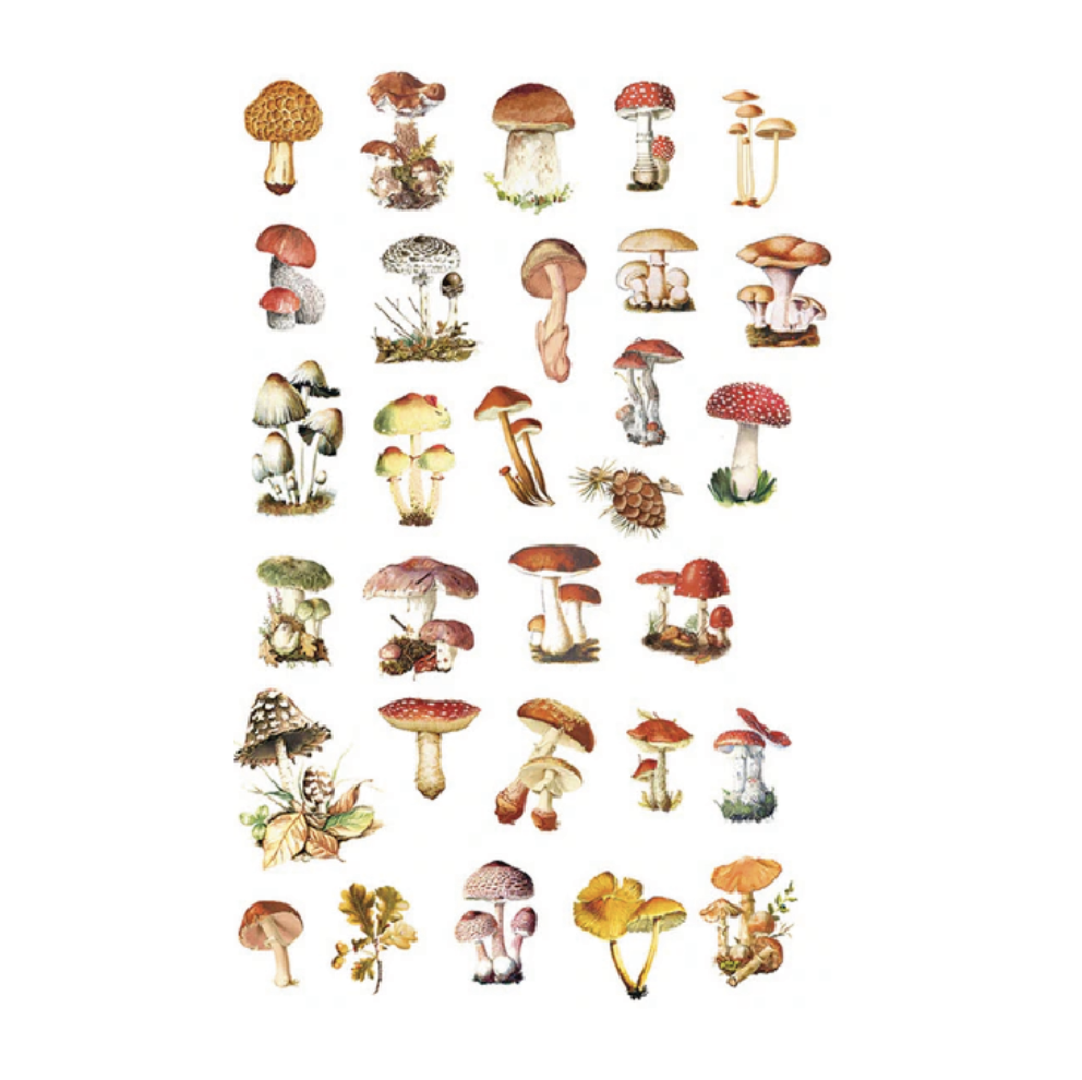 Vellum Stickers - Hongos