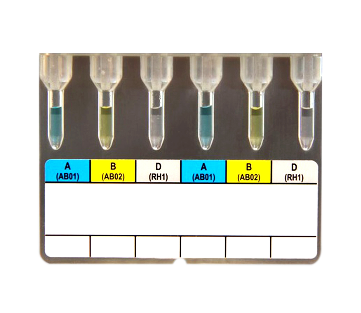 ABO/ Rho (D) Forward Grouping 2x24 gel cards, MATRIX -TULIP ABO/ Rho (D) Forward Grouping 2x24 gel cards, MATRIX -TULIP