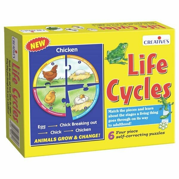 Life Cycles Game