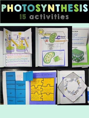 Biology Interactive Notebook Bundle- supports digital - Store - Biology ...