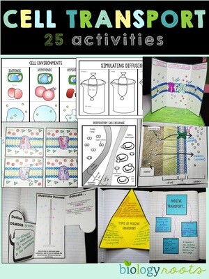 Biology Interactive Notebook Bundle- supports digital - Store - Biology ...