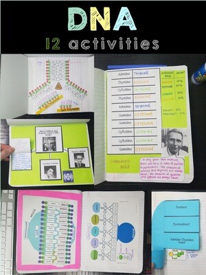 Biology Interactive Notebook Bundle- supports digital - Store - Biology ...