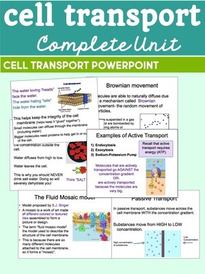 Cell Transport Unit Plan - Store - Biology Roots