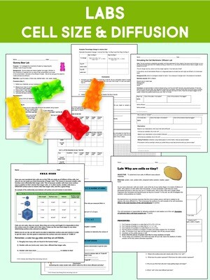 Cell Transport Unit Plan - Store - Biology Roots