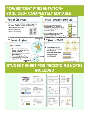 Cell Division Bundle - Store - Biology Roots