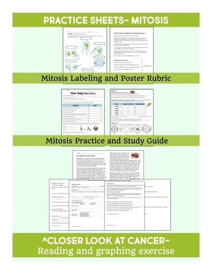 Cell Division Bundle - Store - Biology Roots
