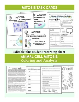 Cell Division Bundle - Store - Biology Roots