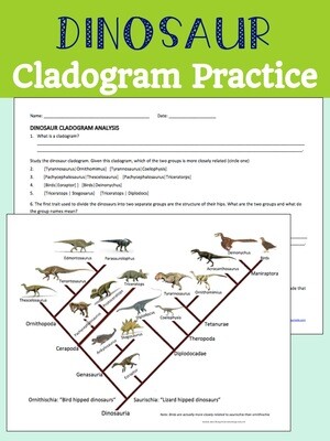 Classification Unit Bundle - Store - Biology Roots
