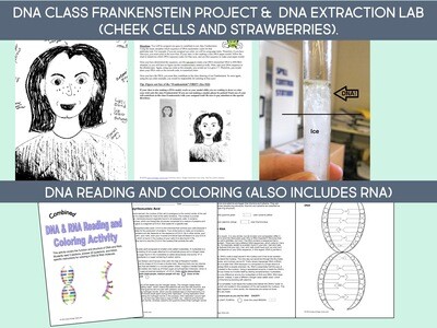 DNA Unit Bundle - Store - Biology Roots