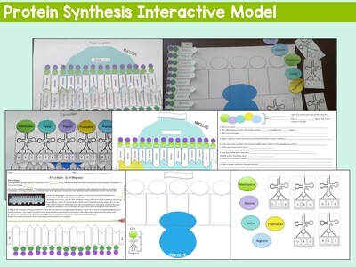 DNA Unit Bundle - Store - Biology Roots
