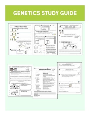Genetics Unit Bundle - Store - Biology Roots