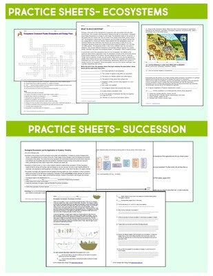 Ecology Unit Bundle - Store - Biology Roots