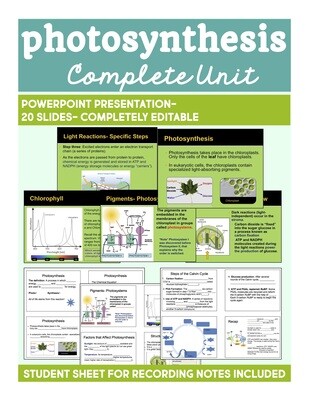 Photosynthesis Unit Bundle- supports distance learning - Store ...