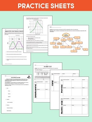 Biochemistry Activity Package- supports digital - Store - Biology Roots