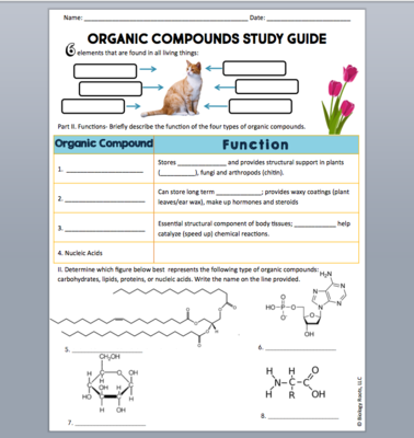 Organic Compounds Study Guide - Store - Biology Roots