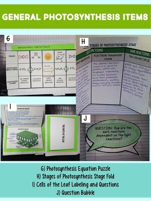 Photosynthesis Interactive Notebook- supports digital - Store - Biology ...