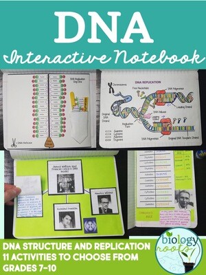 DNA Interactive Notebook - Store - Biology Roots