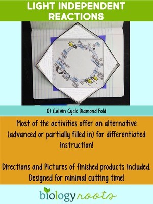 Photosynthesis Interactive Notebook- supports digital - Store - Biology ...