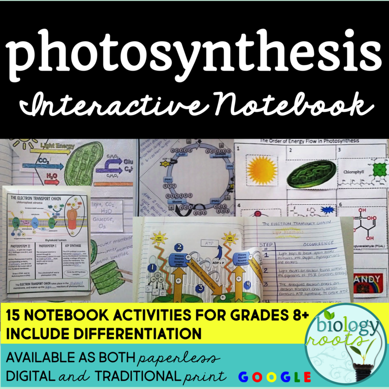 Photosynthesis Interactive Notebook- supports digital - Store - Biology ...