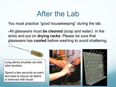 Lab Safety Basics - Store - Biology Roots