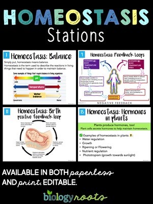 Homeostasis Stations - Store - Biology Roots