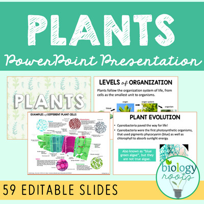 Plants Bundle - Store - Biology Roots