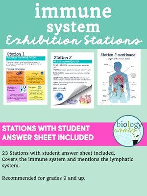 Immune System Stations - Store - Biology Roots