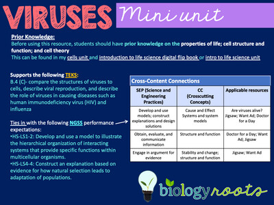 Viruses Mini Unit - Store - Biology Roots