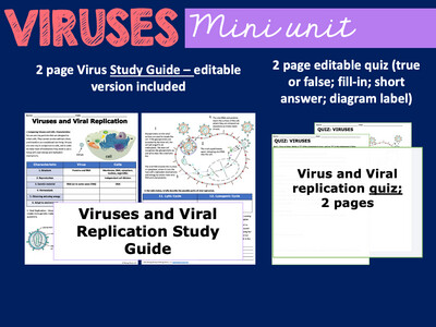 Viruses Mini Unit - Store - Biology Roots