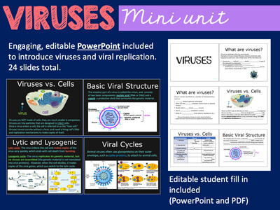 Viruses Mini Unit - Store - Biology Roots