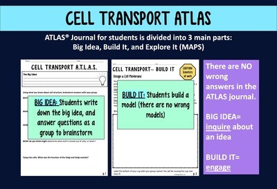 Cell Transport ATLAS Inquiry - Store - Biology Roots