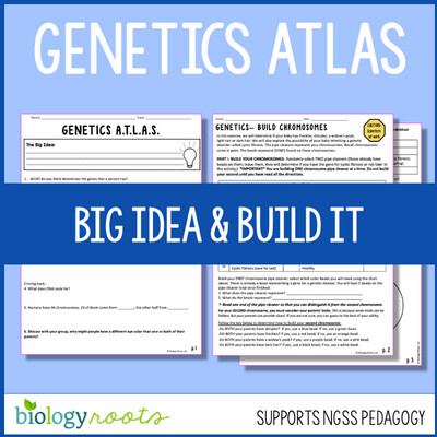 Genetics ATLAS (NGSS; Inquiry) - Store - Biology Roots