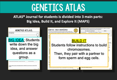 Genetics ATLAS (NGSS; Inquiry) - Store - Biology Roots