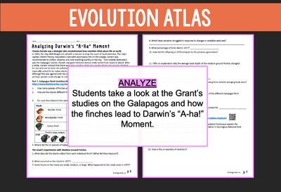 Evolution NGSS Inquiry ATLAS Journal - Store - Biology Roots
