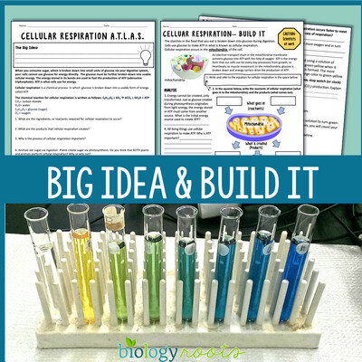 Cellular Respiration NGSS Inquiry ATLAS Journal - Store - Biology Roots