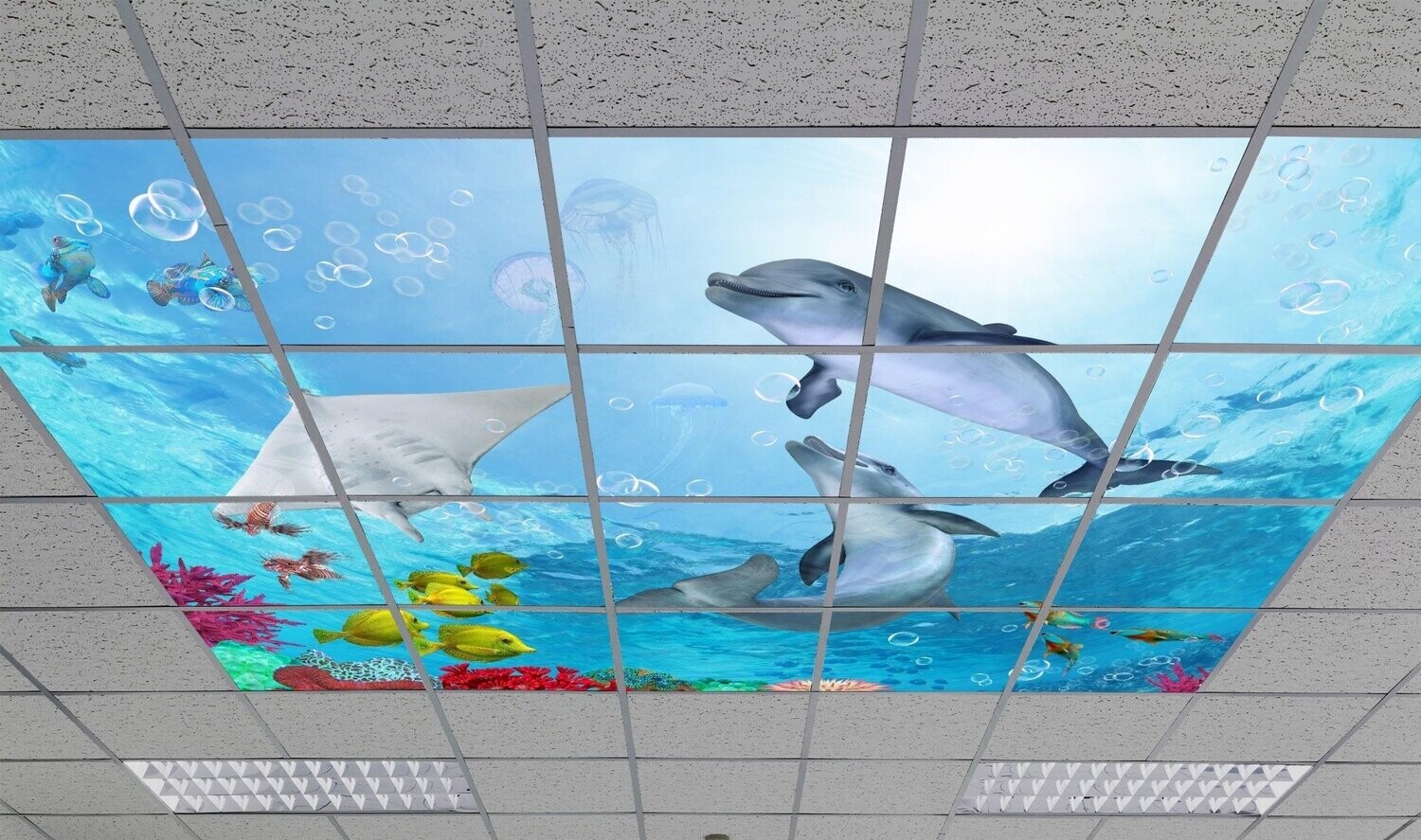 UNDERWATER LED CEILING PANELS
