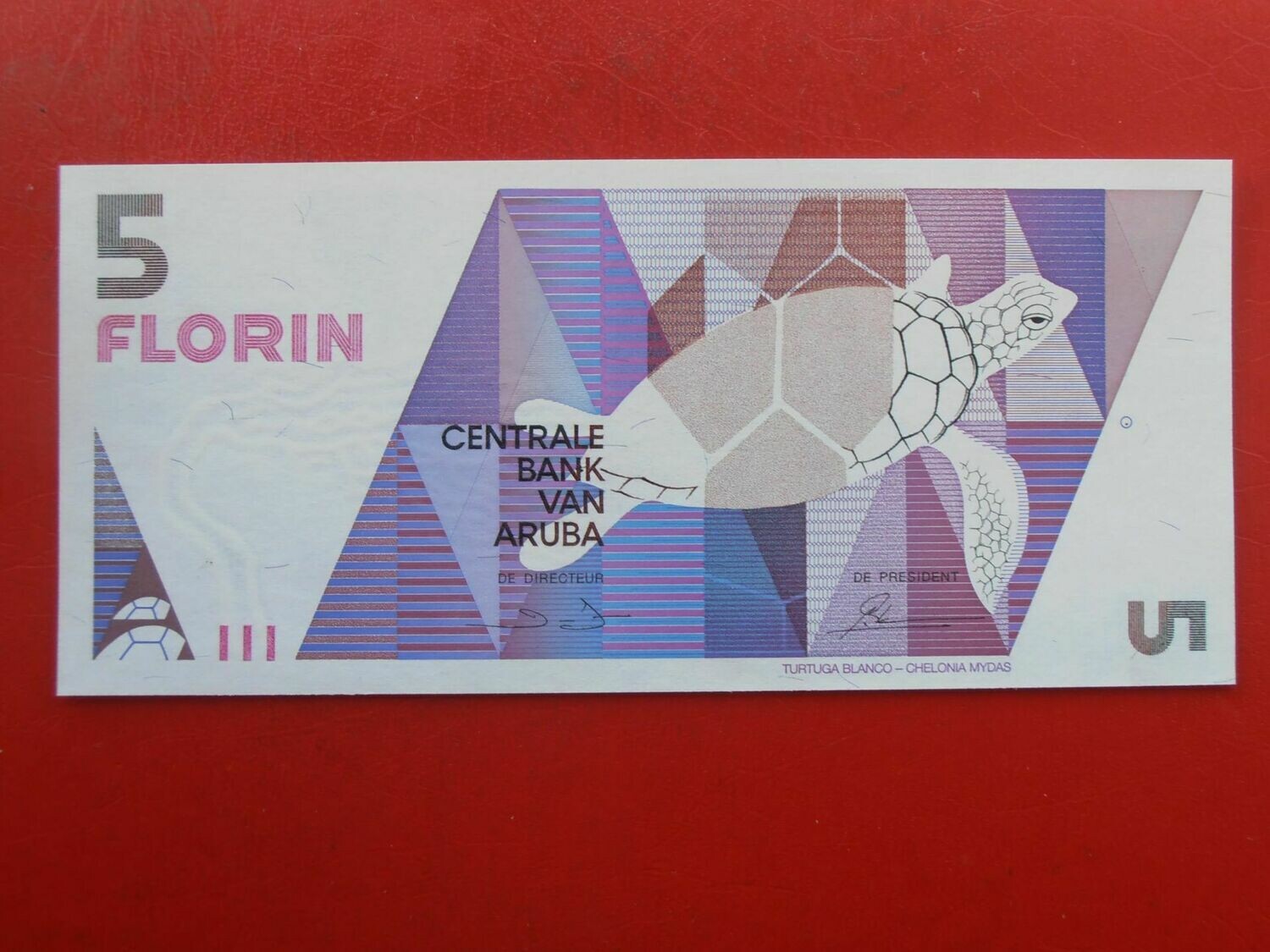 Aruba 5 Florin - 1990