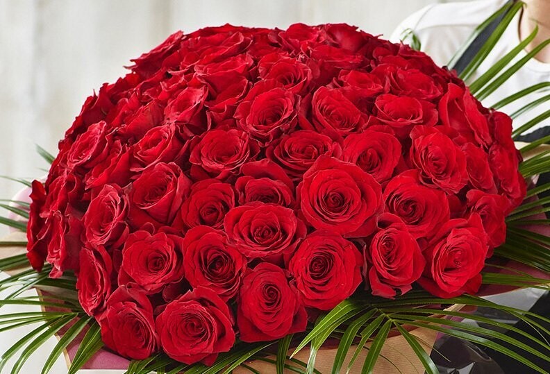 12 Long Stem Red Roses