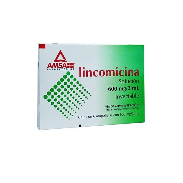 Lincomicina 600mg Solución Inyectable 6 Apolletas