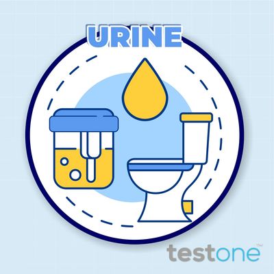 The Best Multi Drug + Alcohol Test Kit in South Africa - testone.co.za