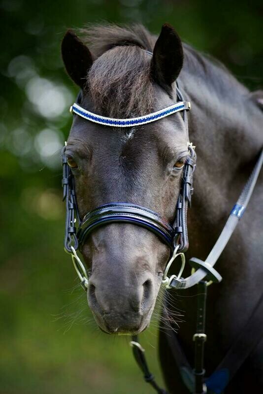 Sue Carson Saddles, balancing comfort with performance.