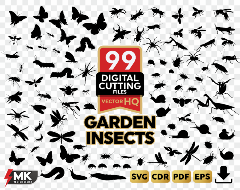 Garden Insect SVG Clipart - Nature & Educational Vector Art