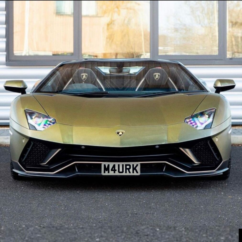 Aventador Ultimae Front Number Plate Mount , NO DRILL