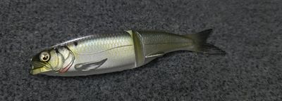 deps 250 - Kokanee