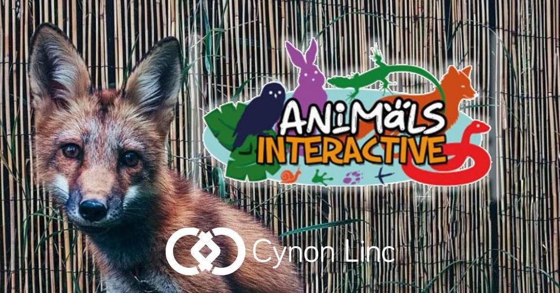 Animals Interactive