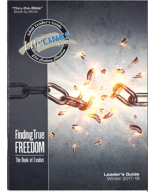 Winter LifeLINKS Adult Year 4 Leader's Guide - Finding True Freedom ...