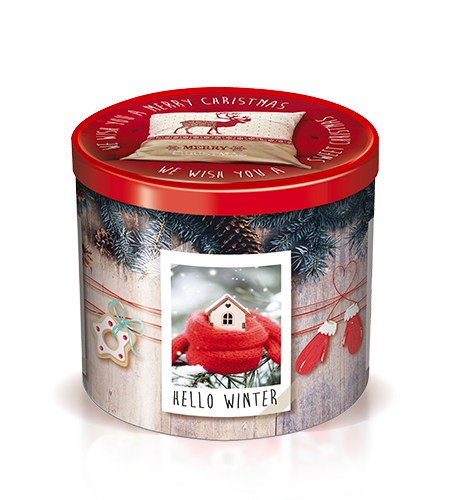 Naturally leavened Pandoro cake in gift tin box 800 gr.