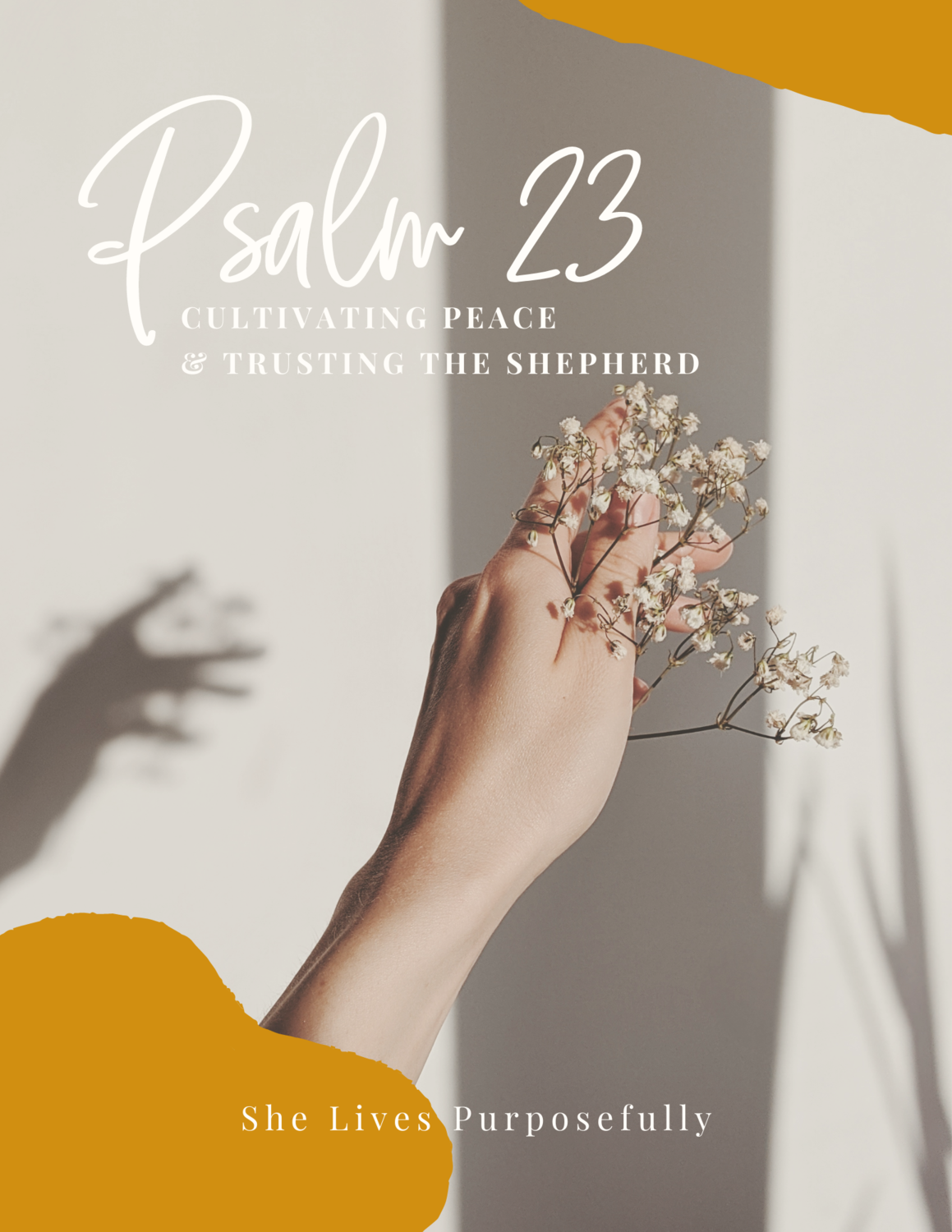 Shop - She Lives Purposefully