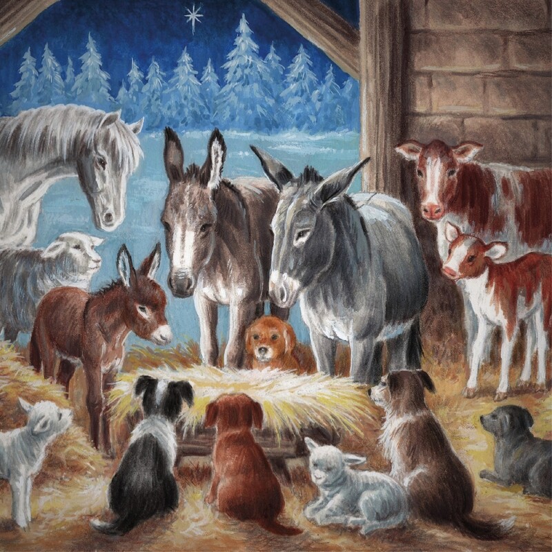 Animal Nativity